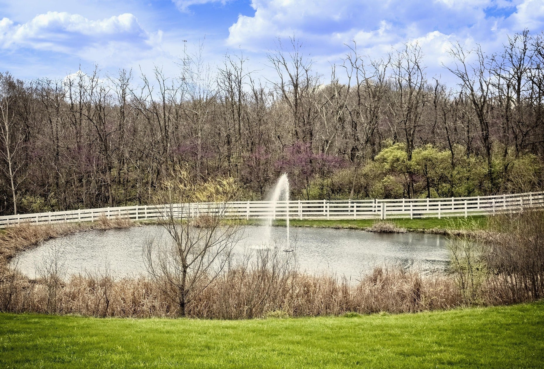 Building a Self-Sustaining Pond Ecosystem for Your Homestead – UltraClear