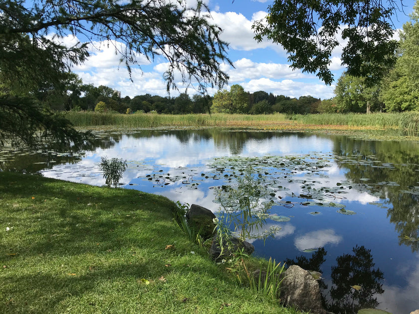 UltraClear® | Natural Pond Care Solutions for Crystal Clear Water