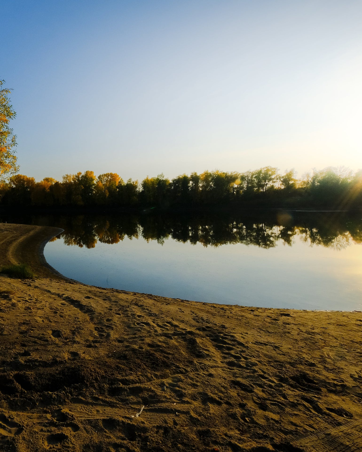 Building a Self-Sustaining Pond Ecosystem for Your Homestead – UltraClear
